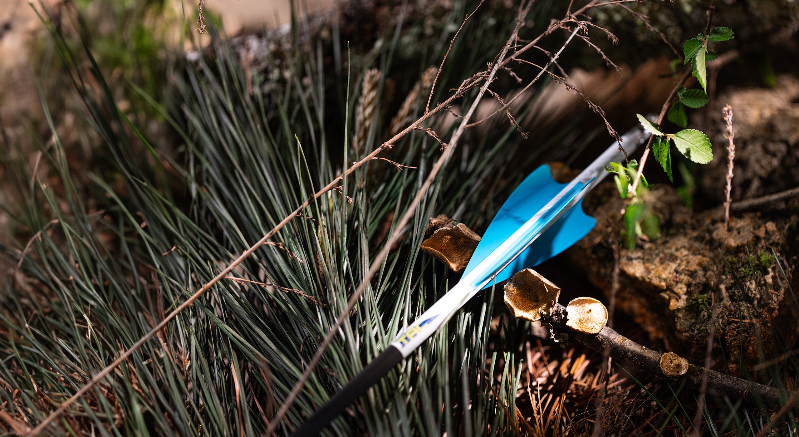 Matrix – FL Outdoors