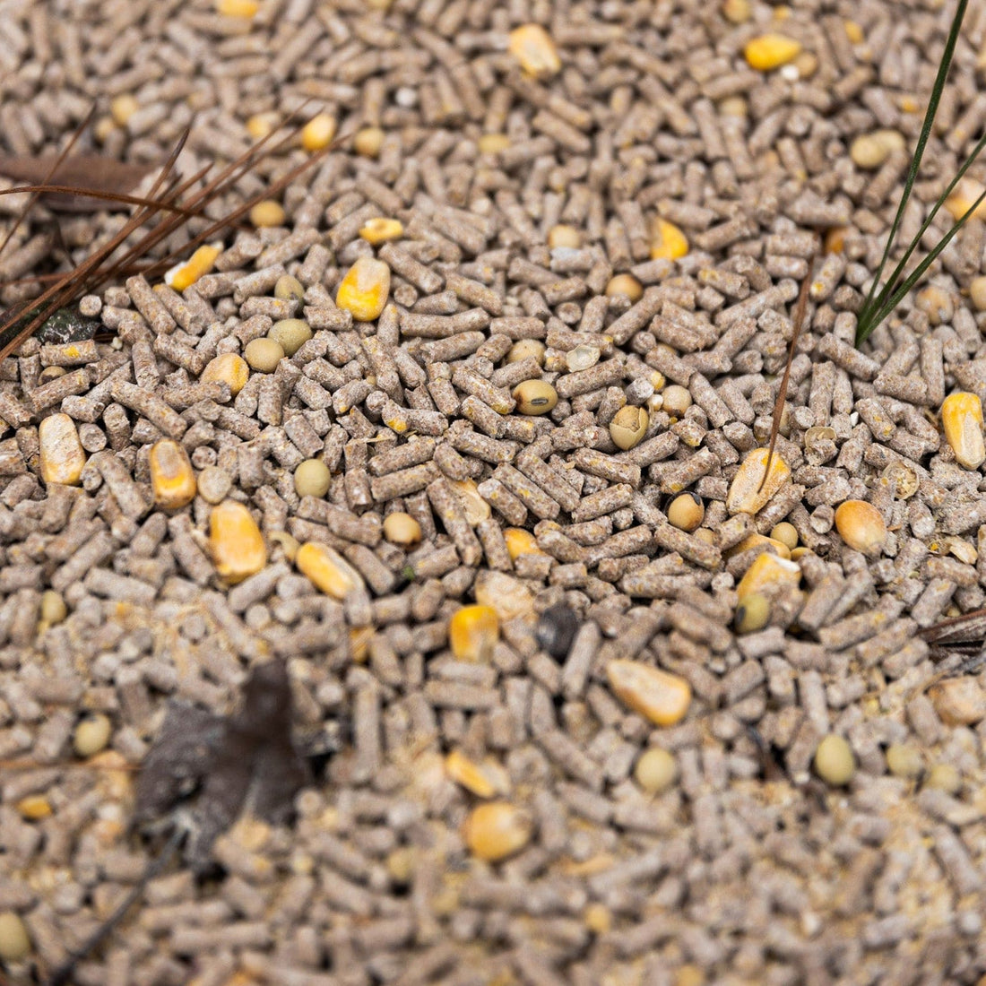 Deer Feed Pellets by C'Mere Deer | X-Treme Harvest Blend – FL Outdoors